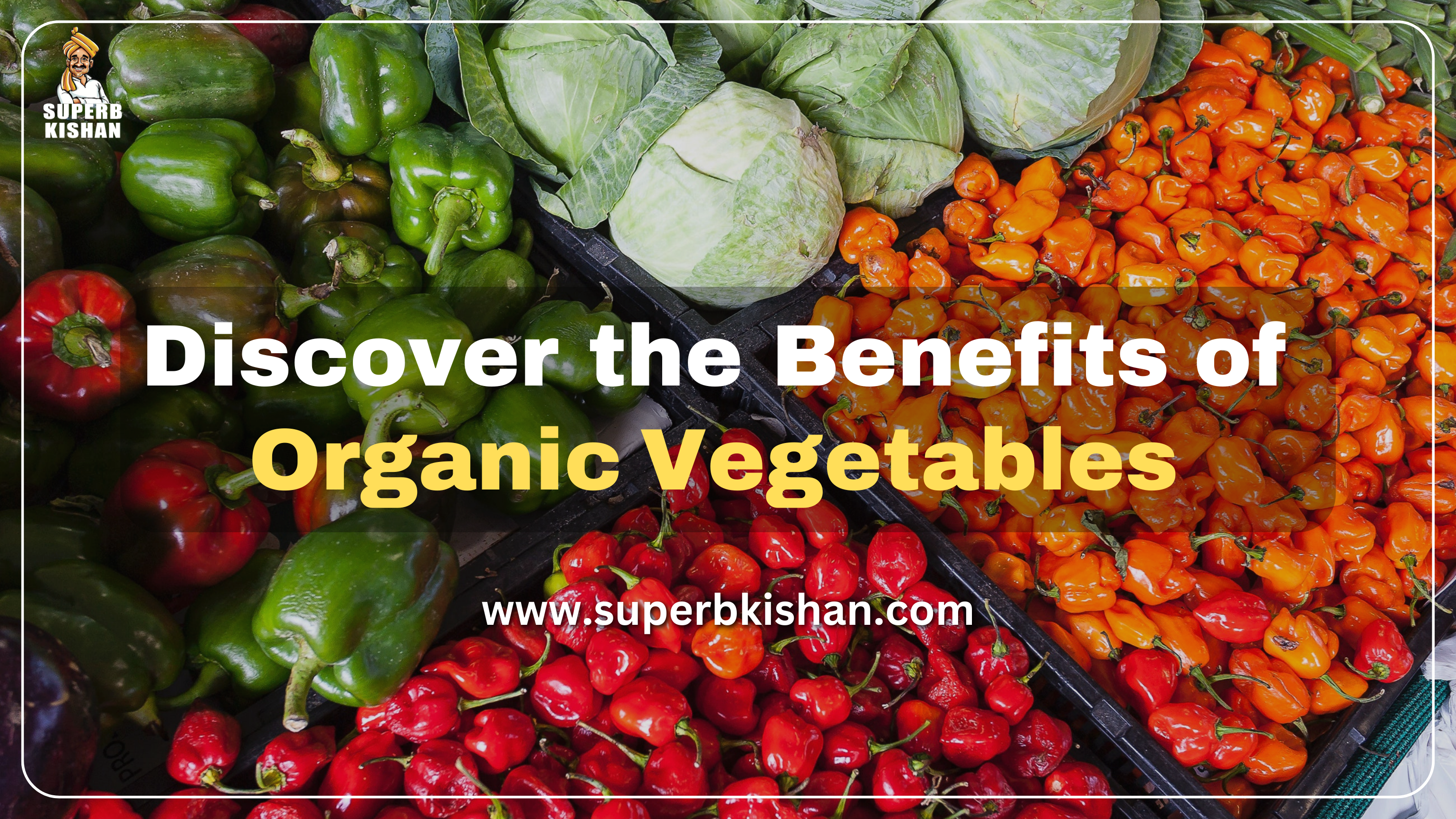 Discover the Benefits of Organic Vegetables – SuperbKishan