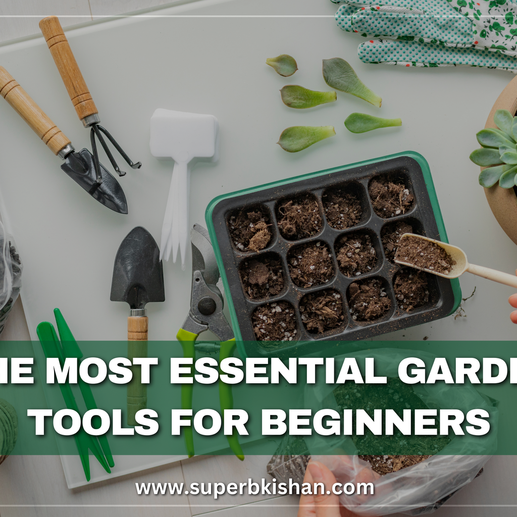 The most essential garden tools for beginners – SuperbKishan