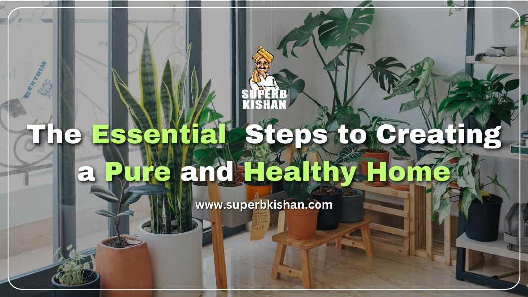 The Essential Steps to Creating a Pure and Healthy Home – SuperbKishan