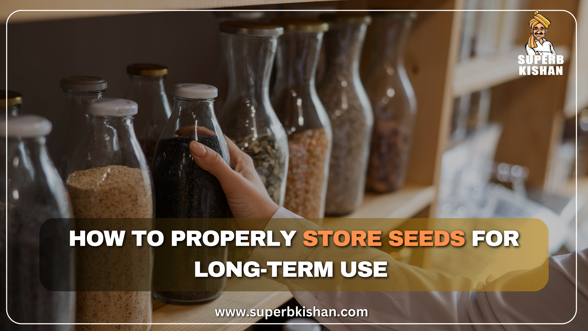 How to properly store seeds for long-term use – SuperbKishan