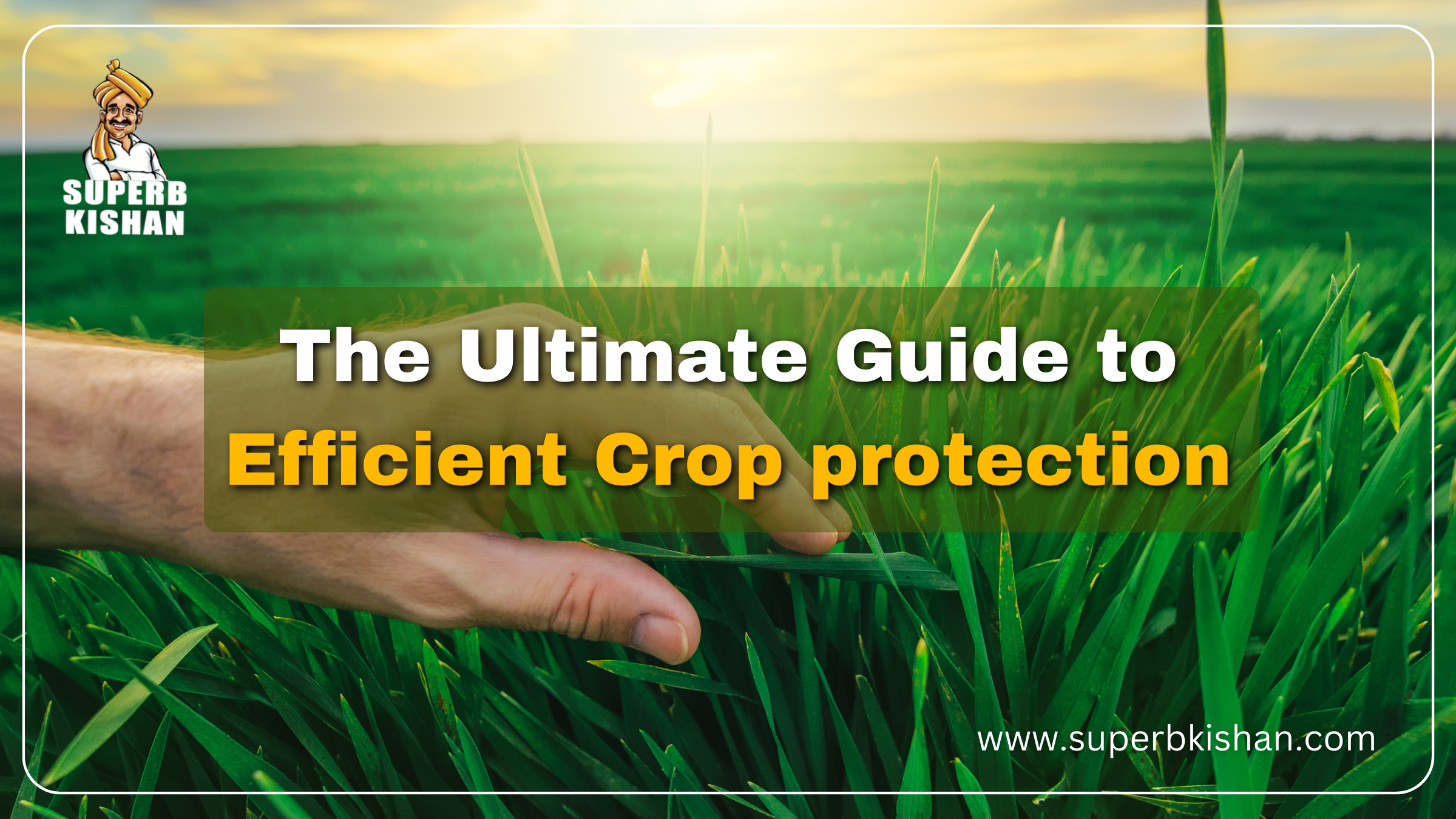 The Ultimate Guide to Efficient Crop protection – SuperbKishan