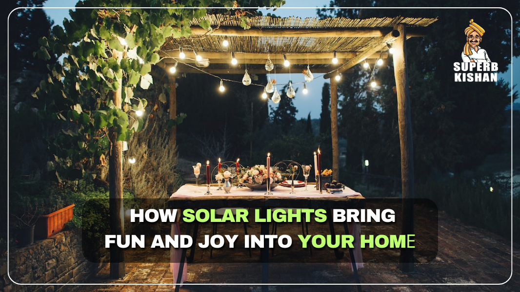 How Solar Lights bring fun and joy into your homе – SuperbKishan